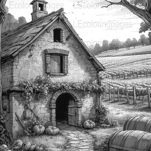 Rustic Countryside House Grayscale Coloring Page, Adult Relaxation ...