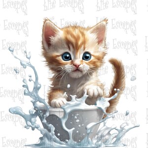 Kitten Milk Splash Clipart, Transparent PNG (digital Download) - Etsy