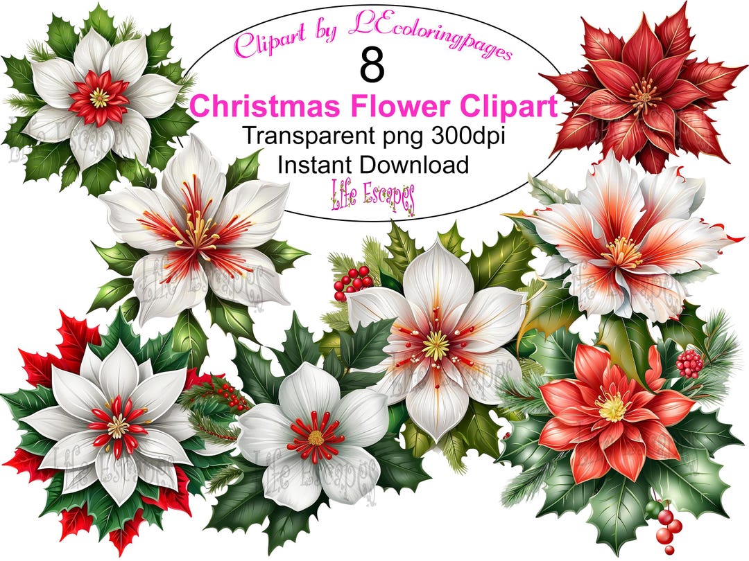 Christmas Flower Clipart Set, Transparent PNG Clipart, 8 Designs ...