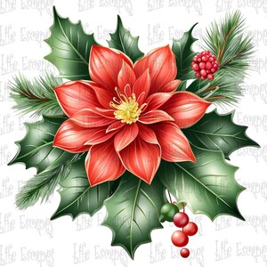 Christmas Flower Clipart Set, Transparent PNG Clipart, 8 Designs ...