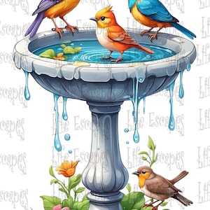 Watercolor Bird Bath Clipart Set, Garden Birds Illustration (digital ...