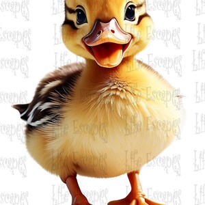 Printable Cute Baby Duck Clipart Bundle - Set #2, PNG, Commercial Use ...