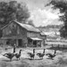Rustic Farmhouse Coloring Page, Barn and Geese (printable) - Etsy