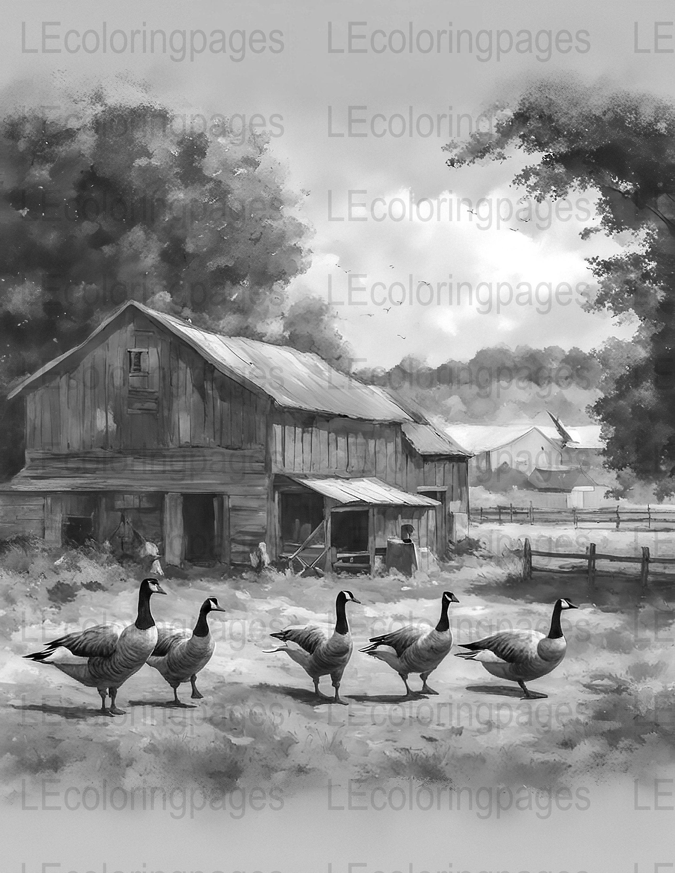 Farm Country Grayscale Coloring Page, Rustic Barn & Geese, Printable ...