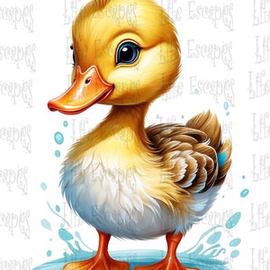 Printable Cute Baby Duck Clipart Bundle - Set #3, PNG, Commercial Use ...
