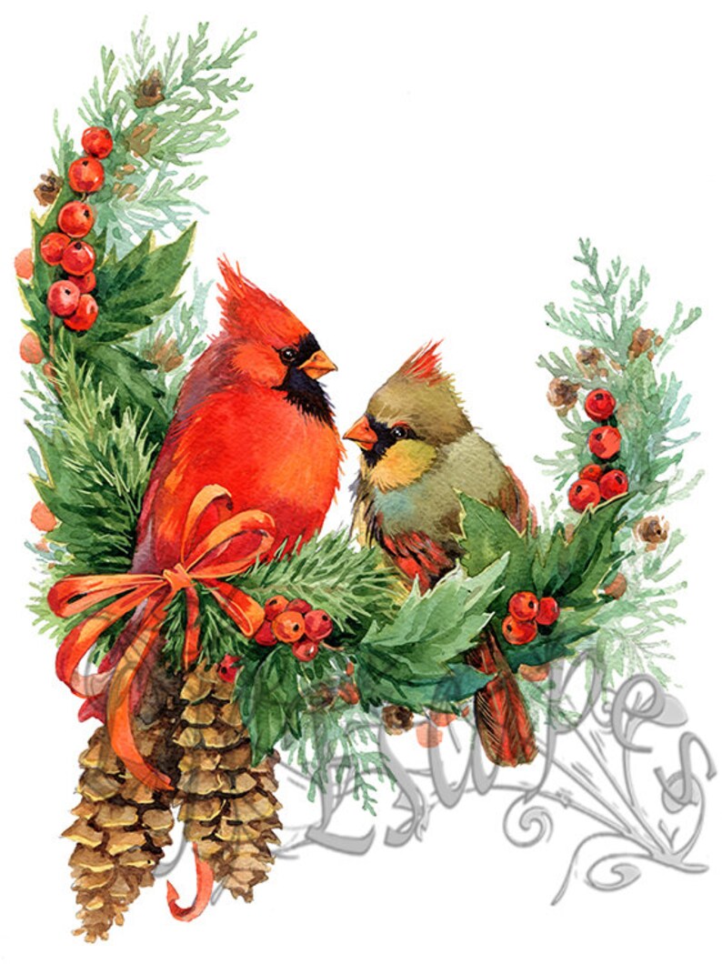 Christmas Grayscale Coloring Page 9 Christmas Cardinals High Resolution ...
