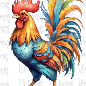Colorful Rooster Clipart Set, Instant Download, Commercial Use, POD Use ...