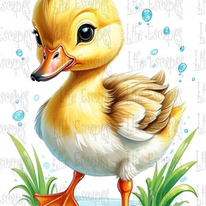 Printable Cute Baby Duck Clipart Bundle - Set #4, PNG, Commercial Use ...