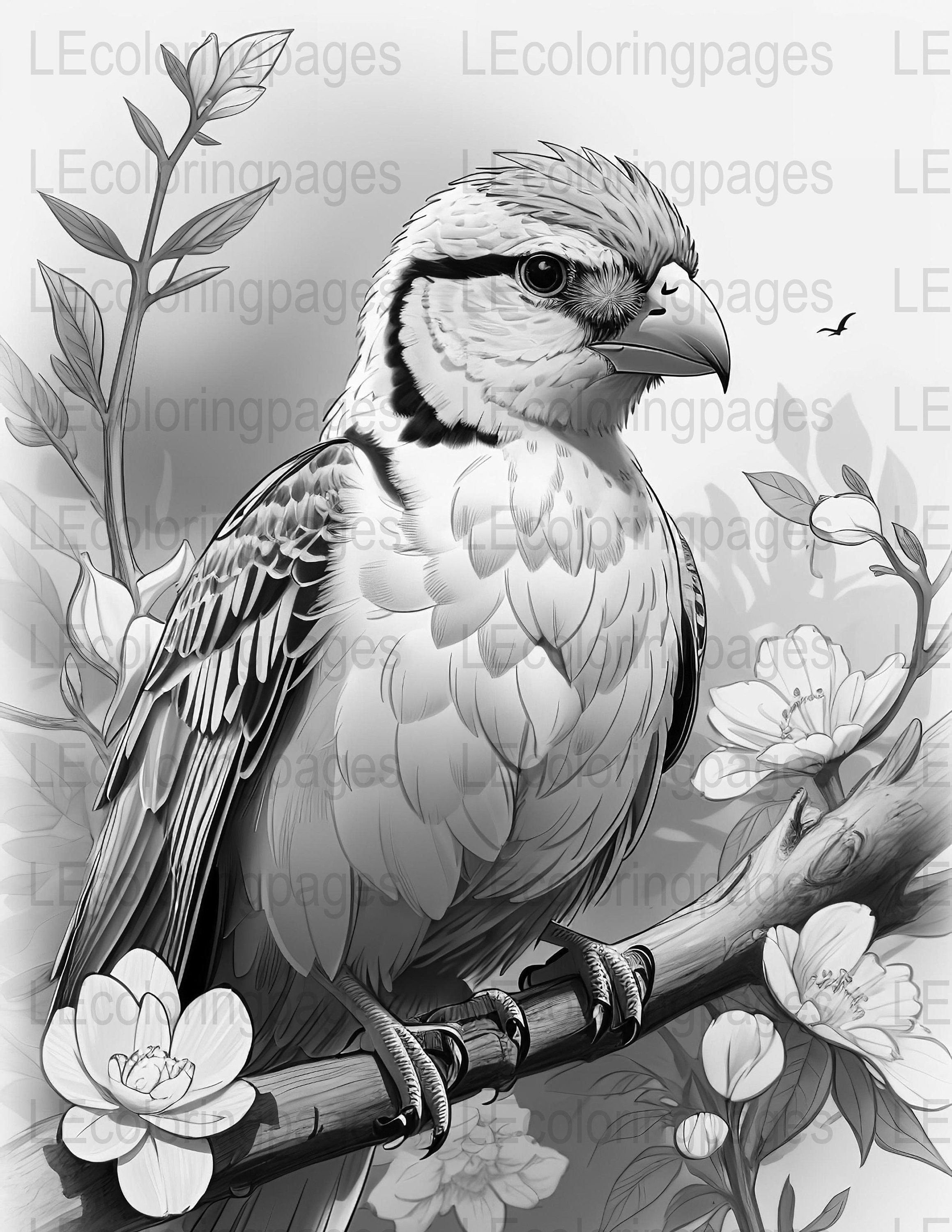 Grayscale Bird Coloring Page for Adults, Intricate Nature Theme ...