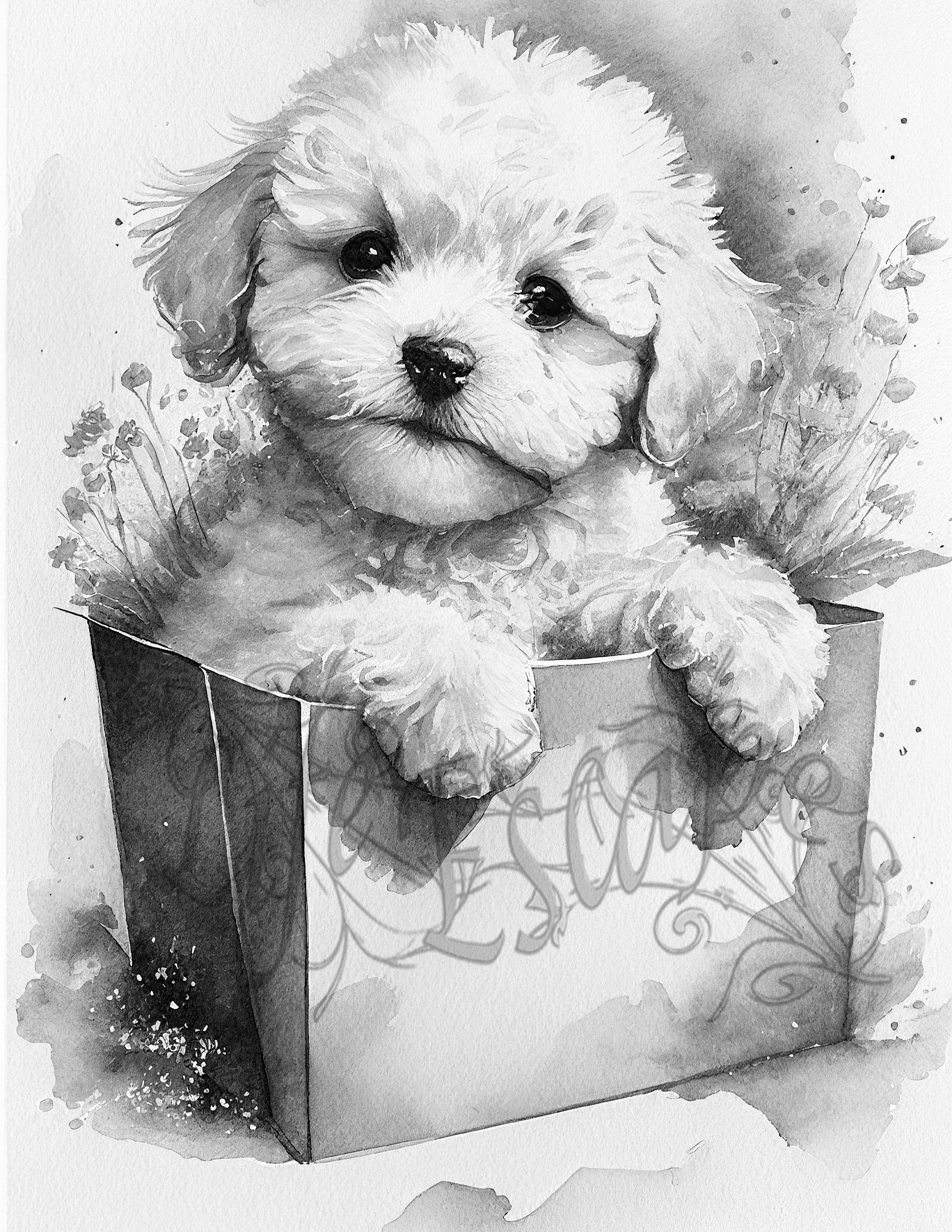 Puppy Coloring Page for Adults Grayscale High Resolution Printable ...