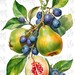 Watercolor Fruit Clipart Set, Instant Download, Transparent PNG ...