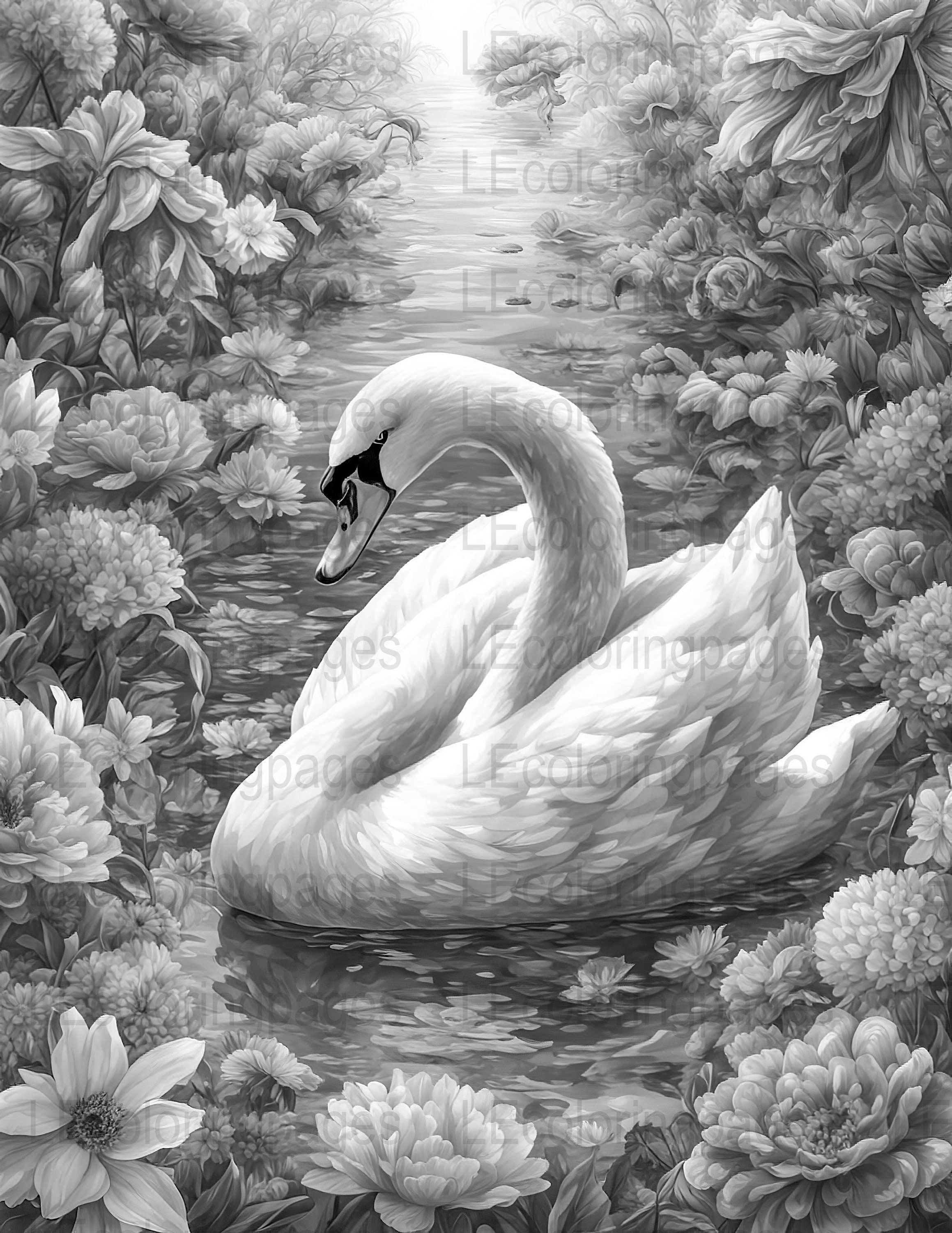 Adult Coloring Page Printable Swan Lake, Grayscale Relaxation, Garden ...