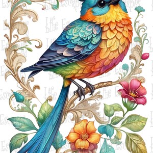 Printable Colorful Bird Clipart Bundle - Set #1, PNG, Commercial Use ...