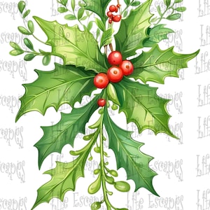 Printable Christmas Mistletoe Clipart Set - Set #1, PNG, Commercial Use ...
