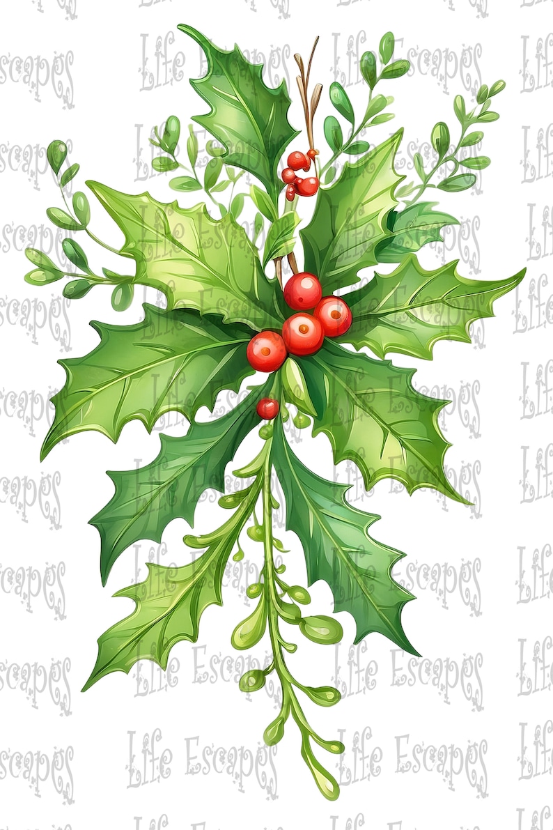 Printable Christmas Mistletoe Clipart Set Set 1, PNG, Commercial Use ...