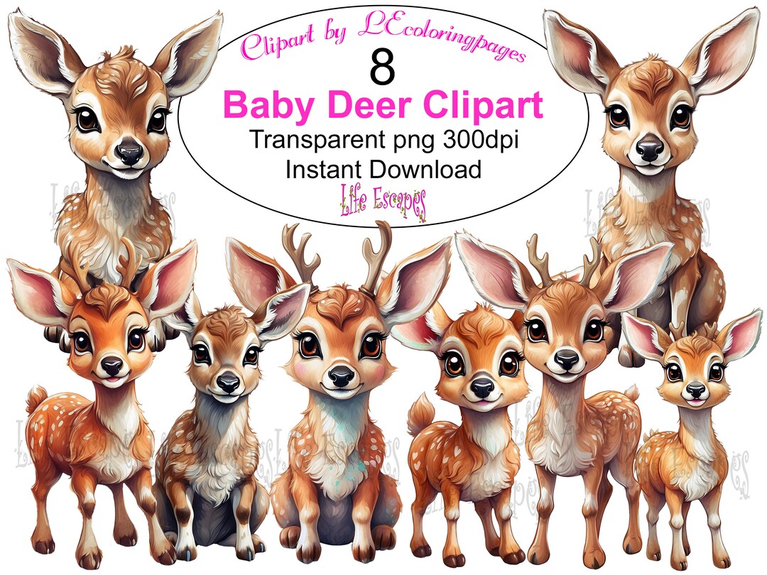 Baby Deer Clipart Set, 8 Cute Fawn Images, Transparent PNG, Commercial ...