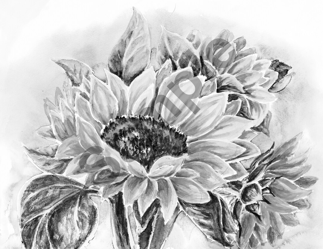 Sunflower Coloring Page for Adults Grayscale High Resolution - Etsy