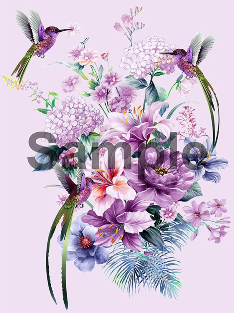 Coloring Page Hummingbirds Grayscale High Resolution Printable - Etsy