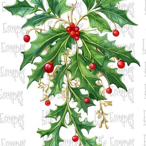 Printable Christmas Mistletoe Clipart Set - Set #1, PNG, Commercial Use ...