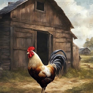 Rustic Farmhouse Rooster Coloring Page, Grayscale Country Scene, Adult ...