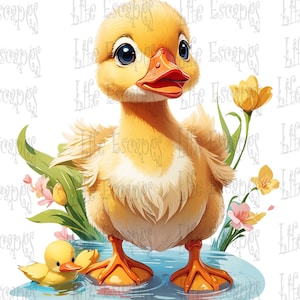 Printable Cute Baby Duck Clipart Bundle - Set #4, PNG, Commercial Use ...