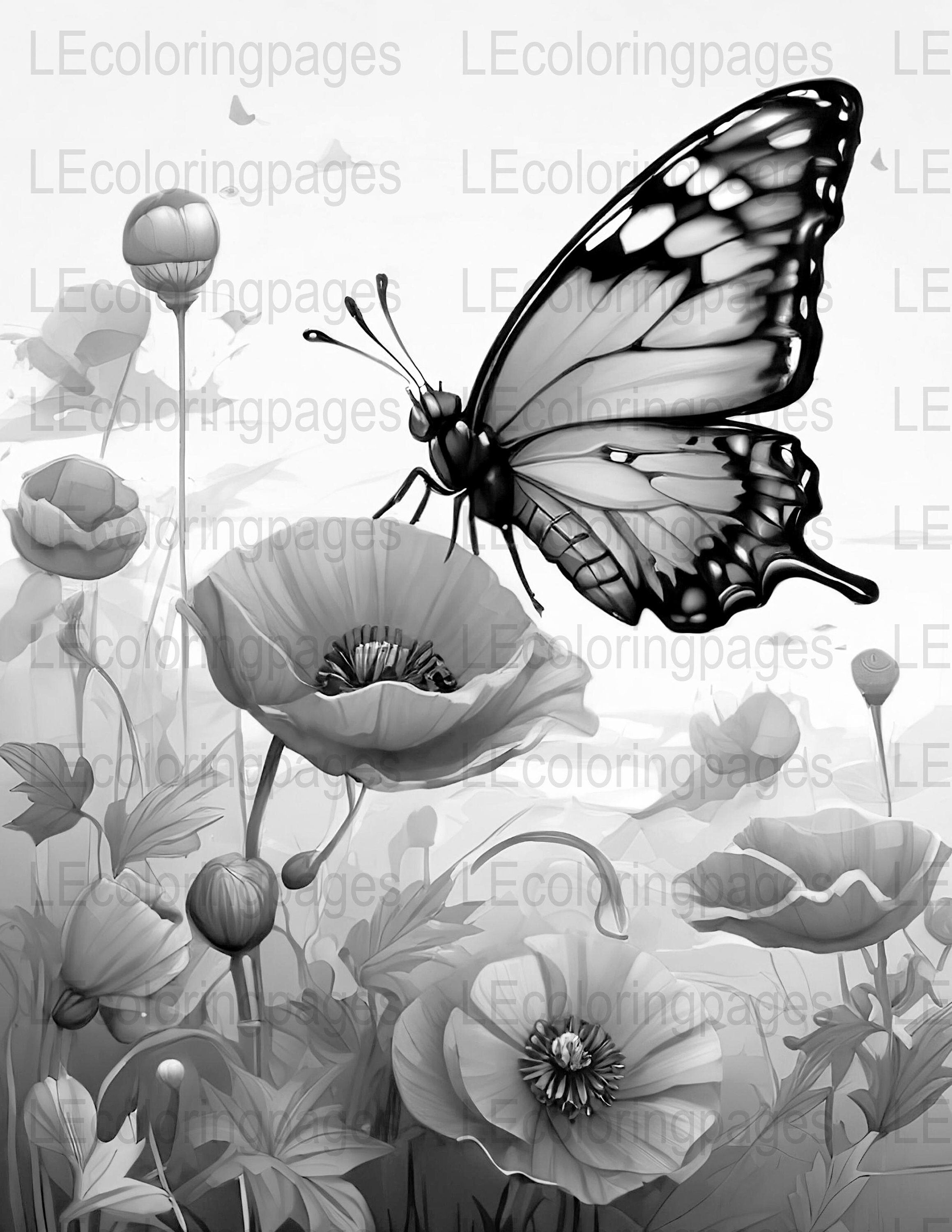 Adult Coloring Page Grayscale Butterfly and Flowers, Printable PDF ...