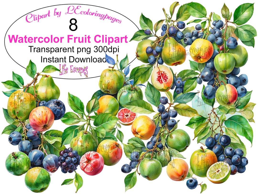 Watercolor Fruit Clipart Set, Instant Download, Transparent PNG ...