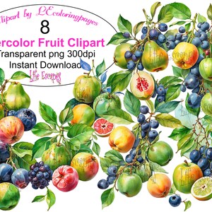 Watercolor Fruit Clipart Set, Instant Download, Transparent PNG ...