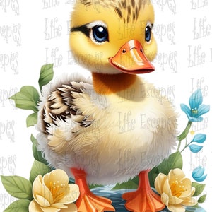 Printable Cute Baby Duck Clipart Bundle - Set #5, PNG, Commercial Use ...