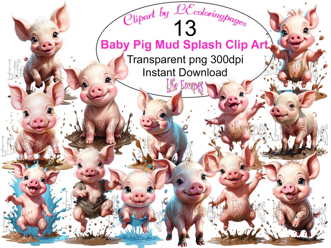 Playful Pig Clipart Set, Mud Splash Illustrations (digital Download) - Etsy