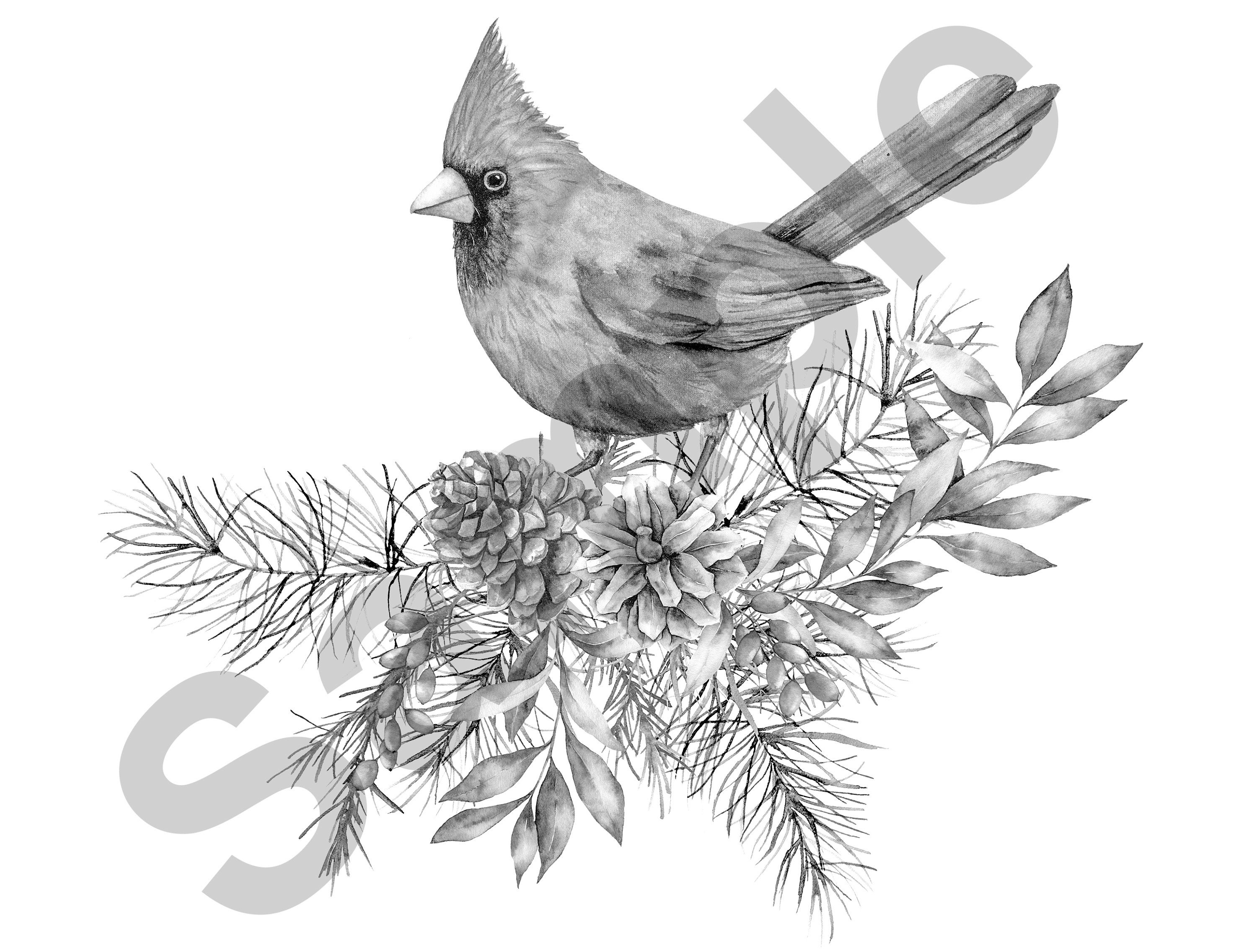 Fantasy Birds Coloring Page for Adults Grayscale High Resolution ...