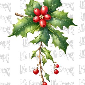Printable Christmas Mistletoe Clipart Set - Set #1, PNG, Commercial Use ...