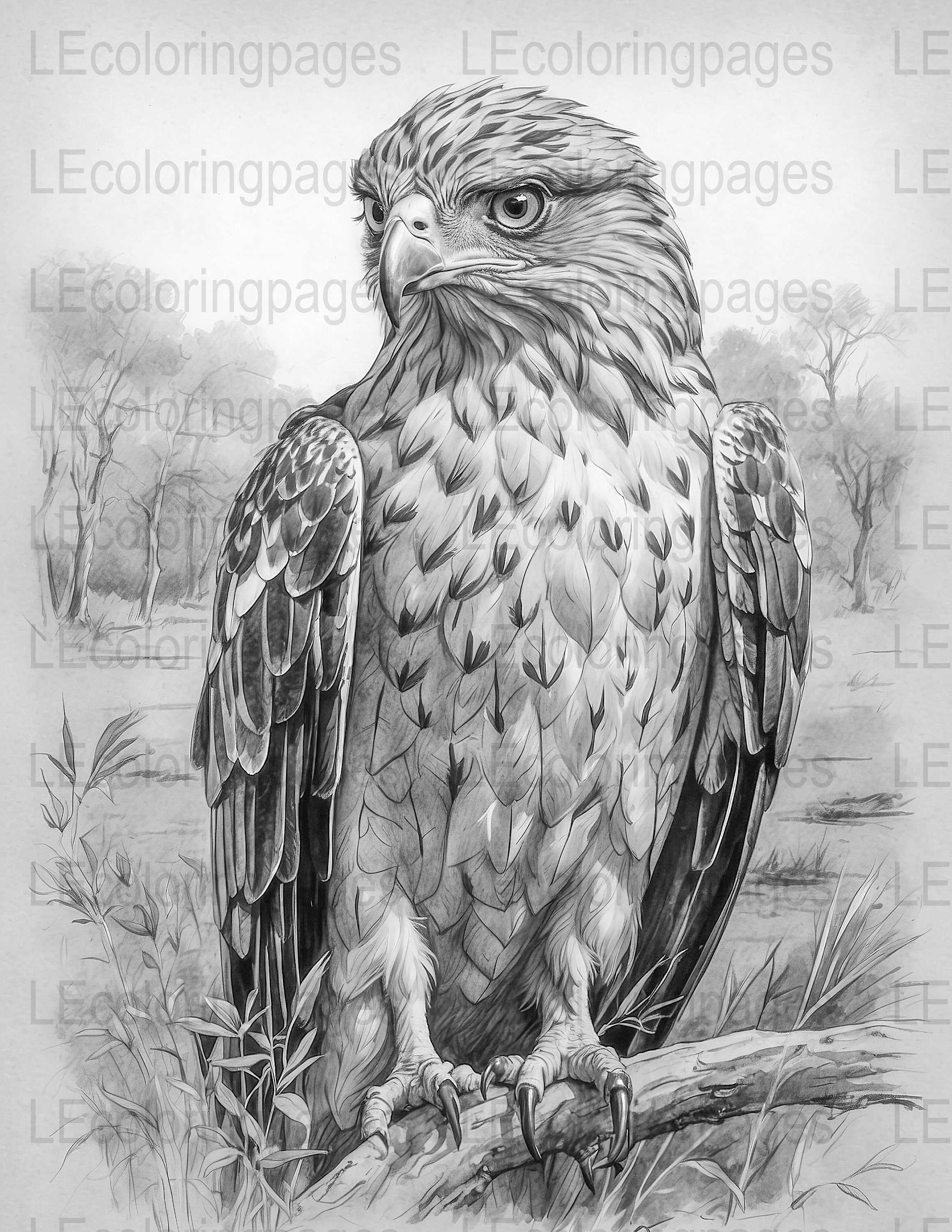 Majestic Hawk Grayscale Coloring Page, Printable Adult Stress Relief ...