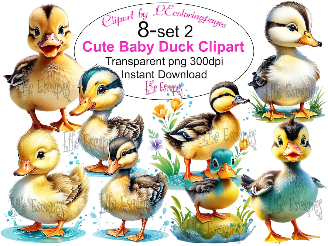 Printable Cute Baby Duck Clipart Bundle - Set #2, PNG, Commercial Use ...