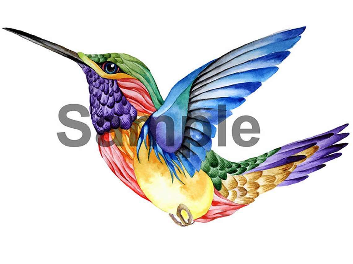 Coloring Page Hummingbirds Grayscale High Resolution Printable Single ...
