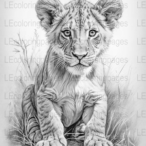 Grayscale Lion Cub Adult Coloring Page, Printable Jungle Animal ...