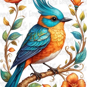 Printable Colorful Bird Clipart Bundle - Set #1, PNG, Commercial Use ...