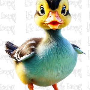 Printable Cute Baby Duck Clipart Bundle - Set #2, PNG, Commercial Use ...