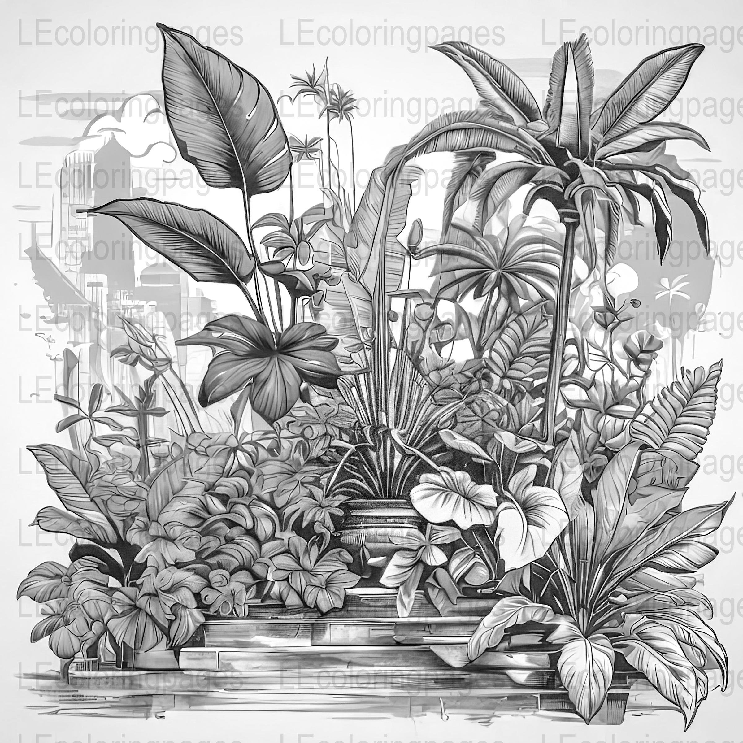 Adult Coloring Page Tropical Garden Grayscale Image, Printable Relaxing ...