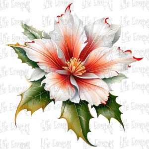 Christmas Flower Clipart Set, Transparent PNG Clipart, 8 Designs ...