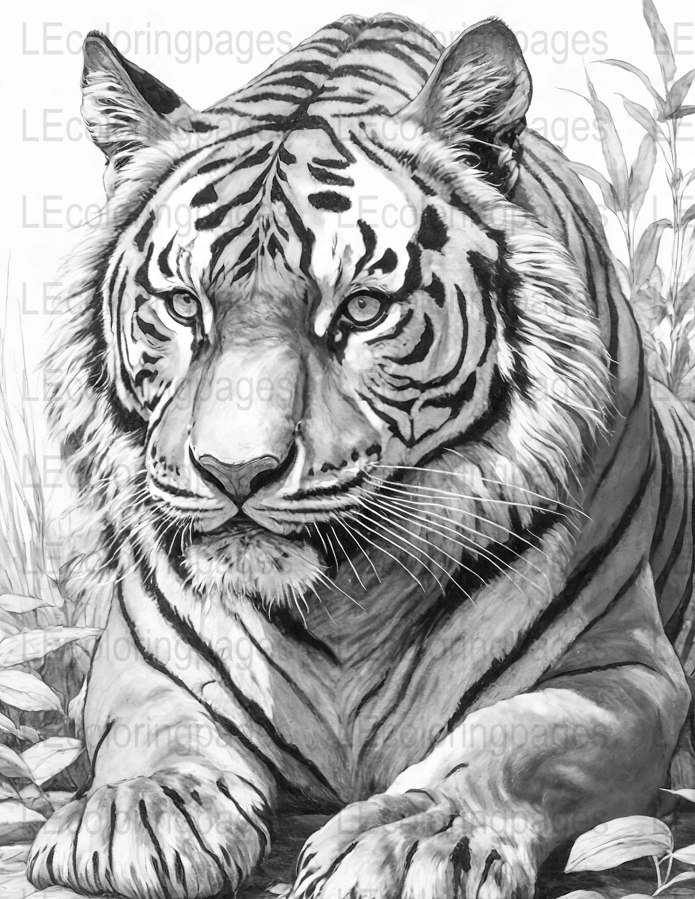 Adult Coloring Page Tiger, Grayscale Jungle Animal, Printable JPG ...