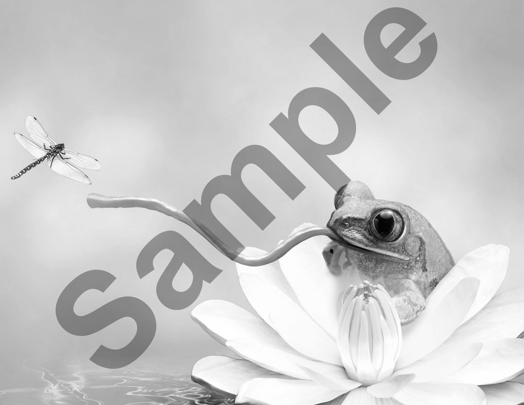 Coloring Page Froggy Fun Grayscale High Resolution Printable Single ...