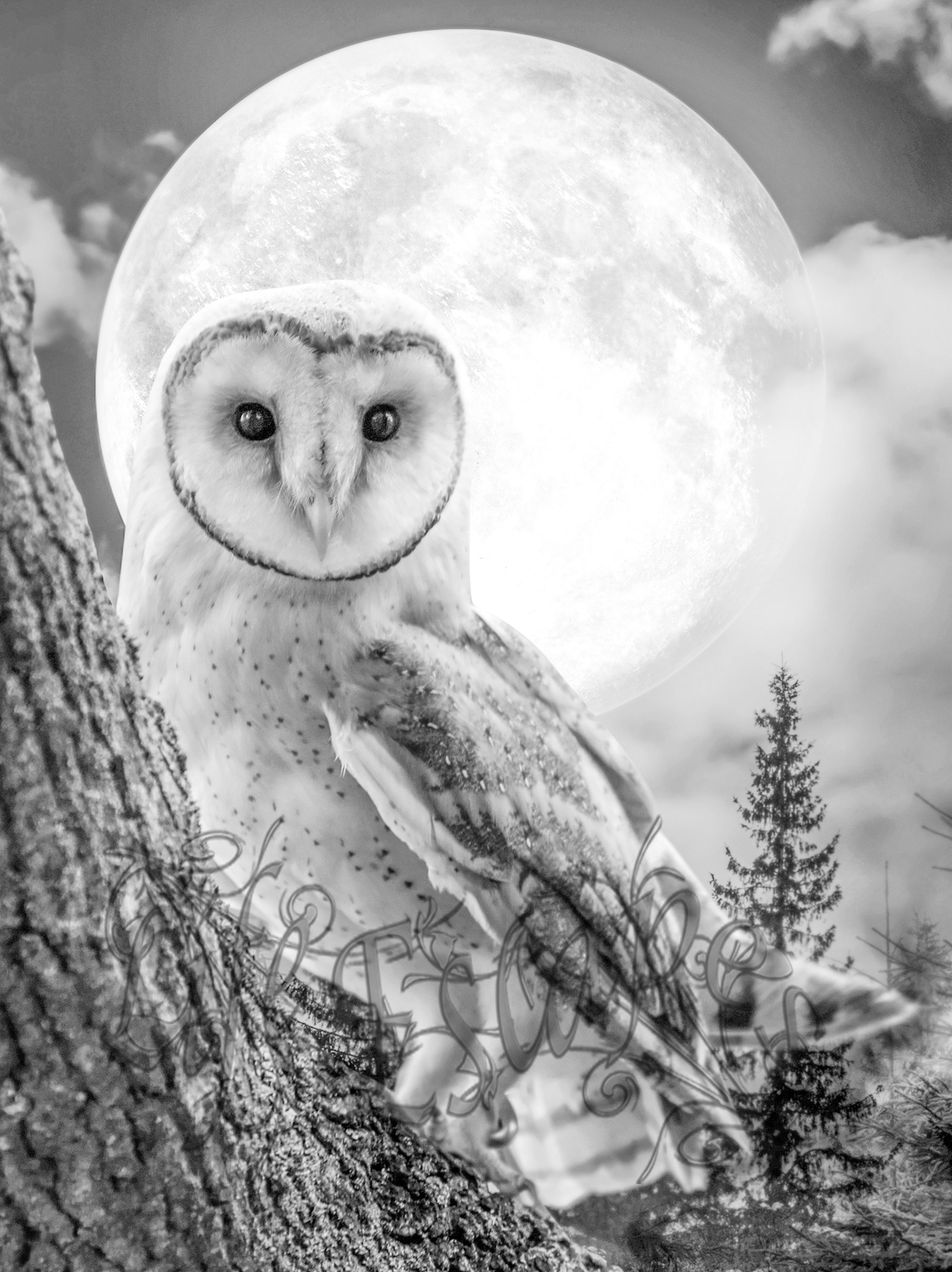 Owl Coloring Page: Fantasy Grayscale Art (printable) - Etsy