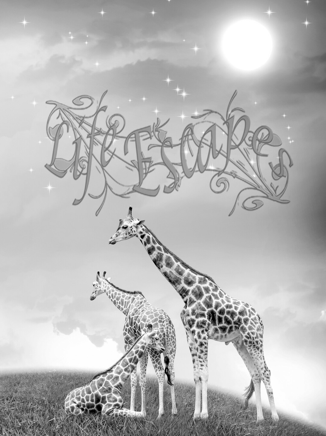 Coloring Page Fantasy Grayscale High Resolution Printable Single ...