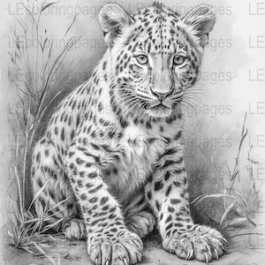 Adult Coloring Page Leopard Cub, Printable Grayscale Jungle Animal ...