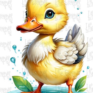 Printable Cute Baby Duck Clipart Bundle - Set #4, PNG, Commercial Use ...