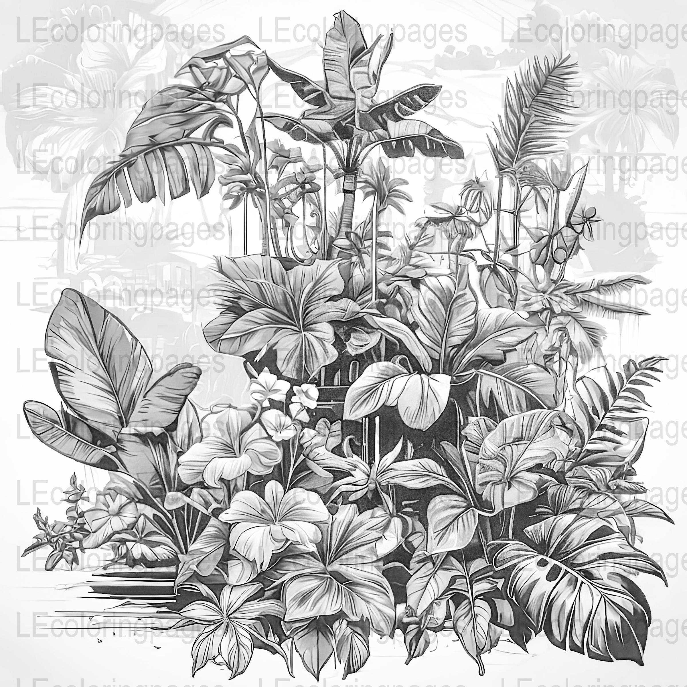 Adult Coloring Page Tropical Plants Grayscale Image, Stress-relief ...