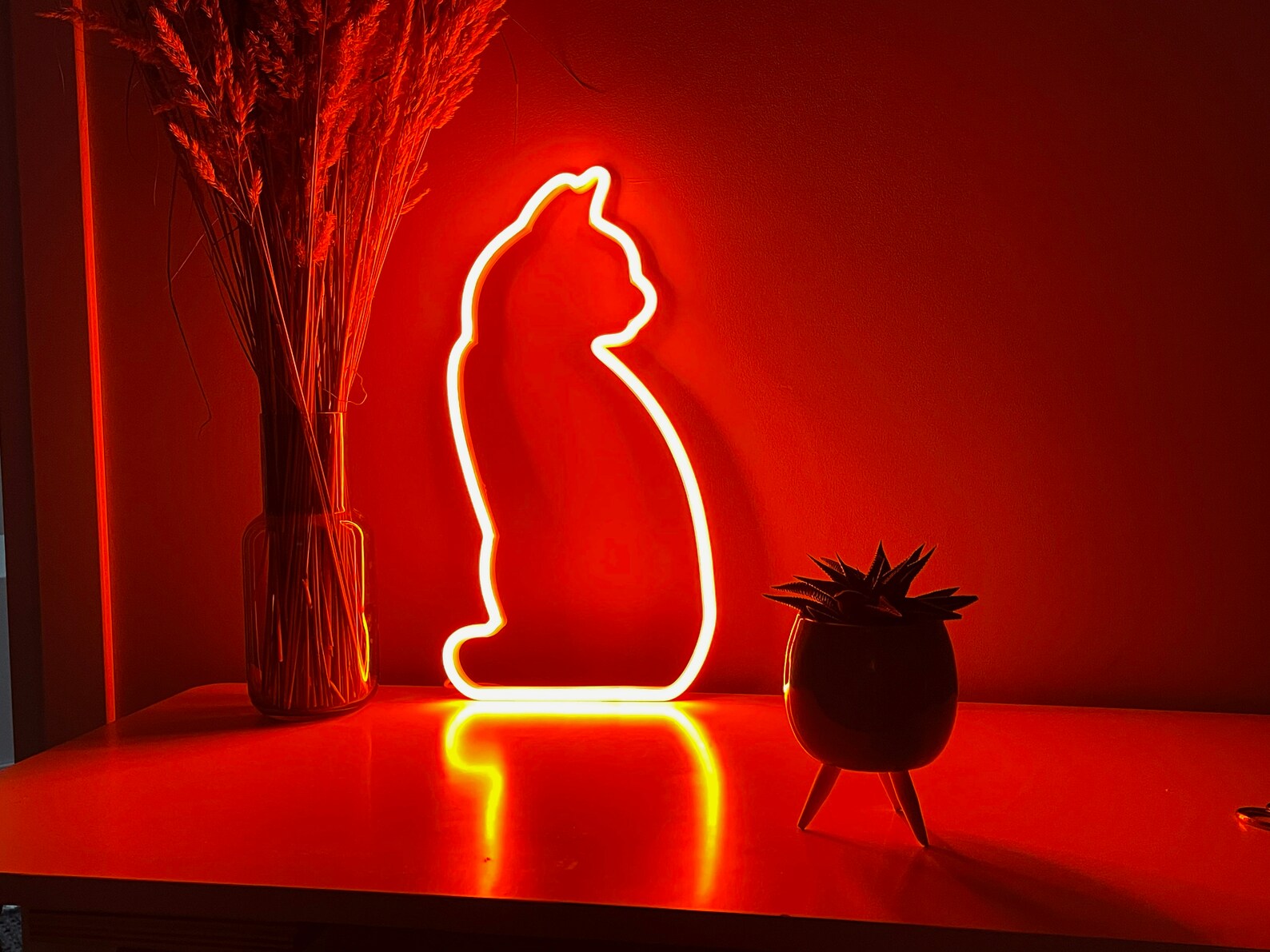 Cat Lover Neon Animal Neon Kitten Wall Art Signs Cute Cat - Etsy