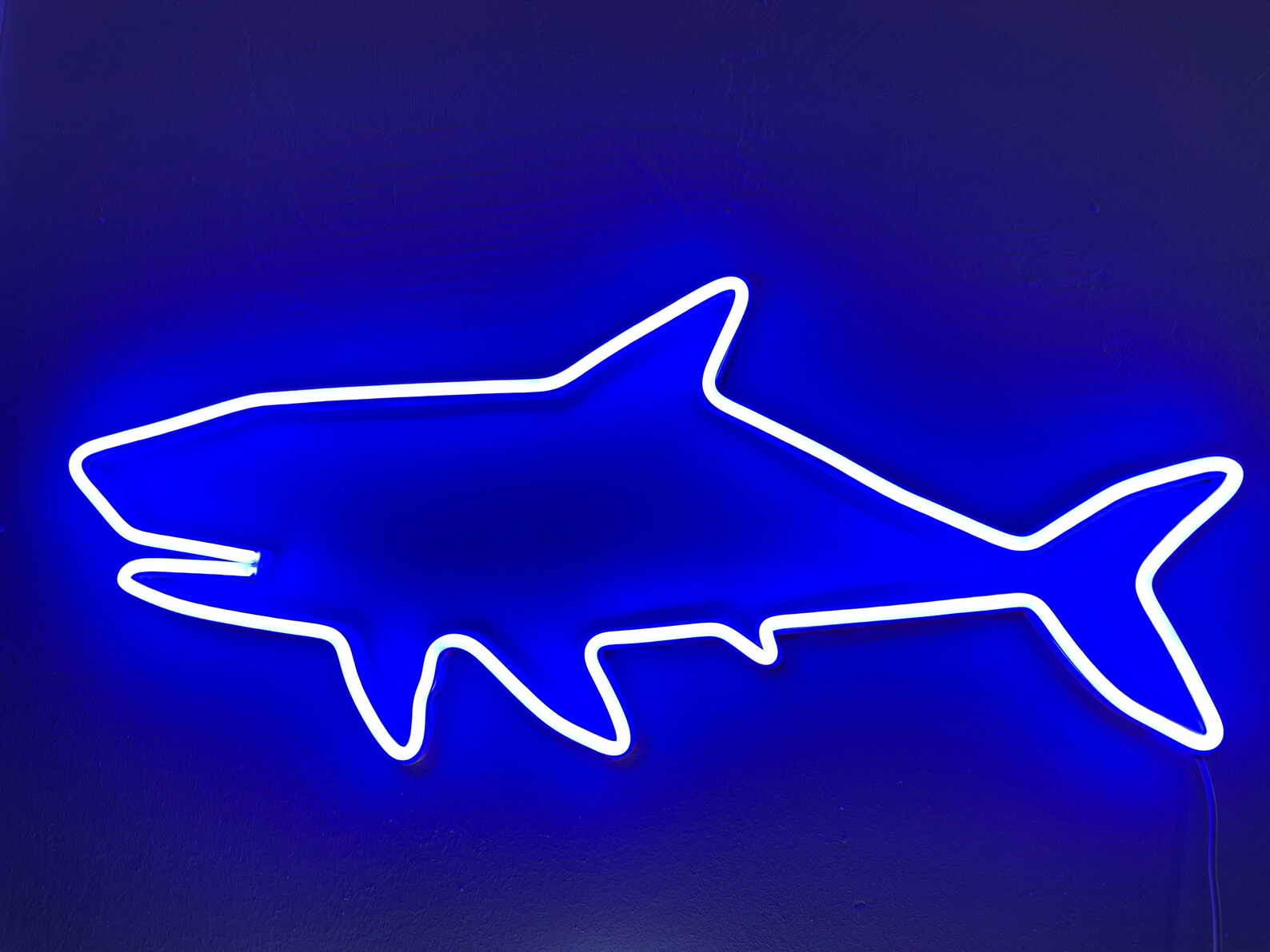 Shark Neon Sign Shark Neon Sign Led Sea Art Light Sign Led - Etsy