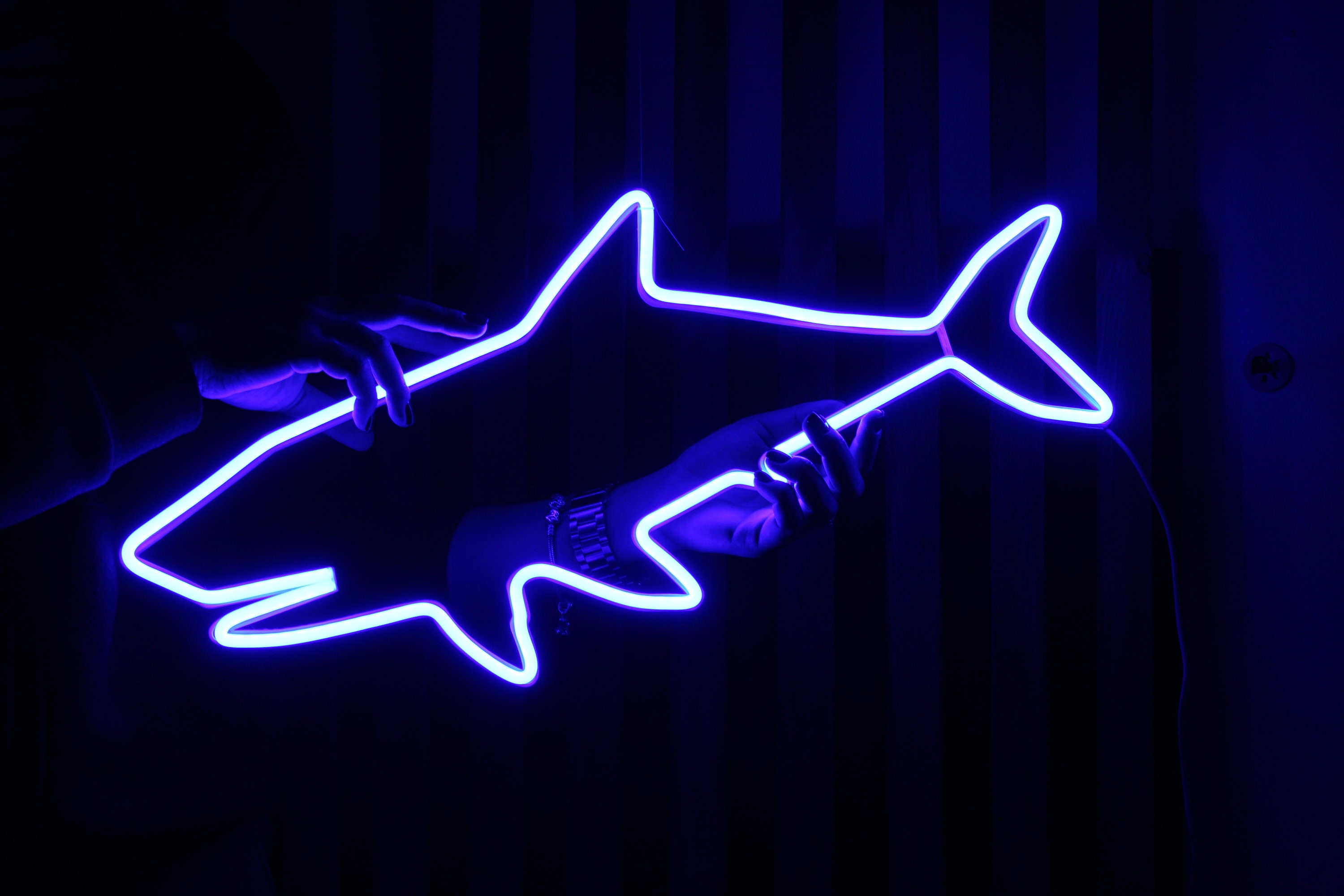Shark Neon Sign Shark Neon Sign Led Sea Art Light Sign Led - Etsy
